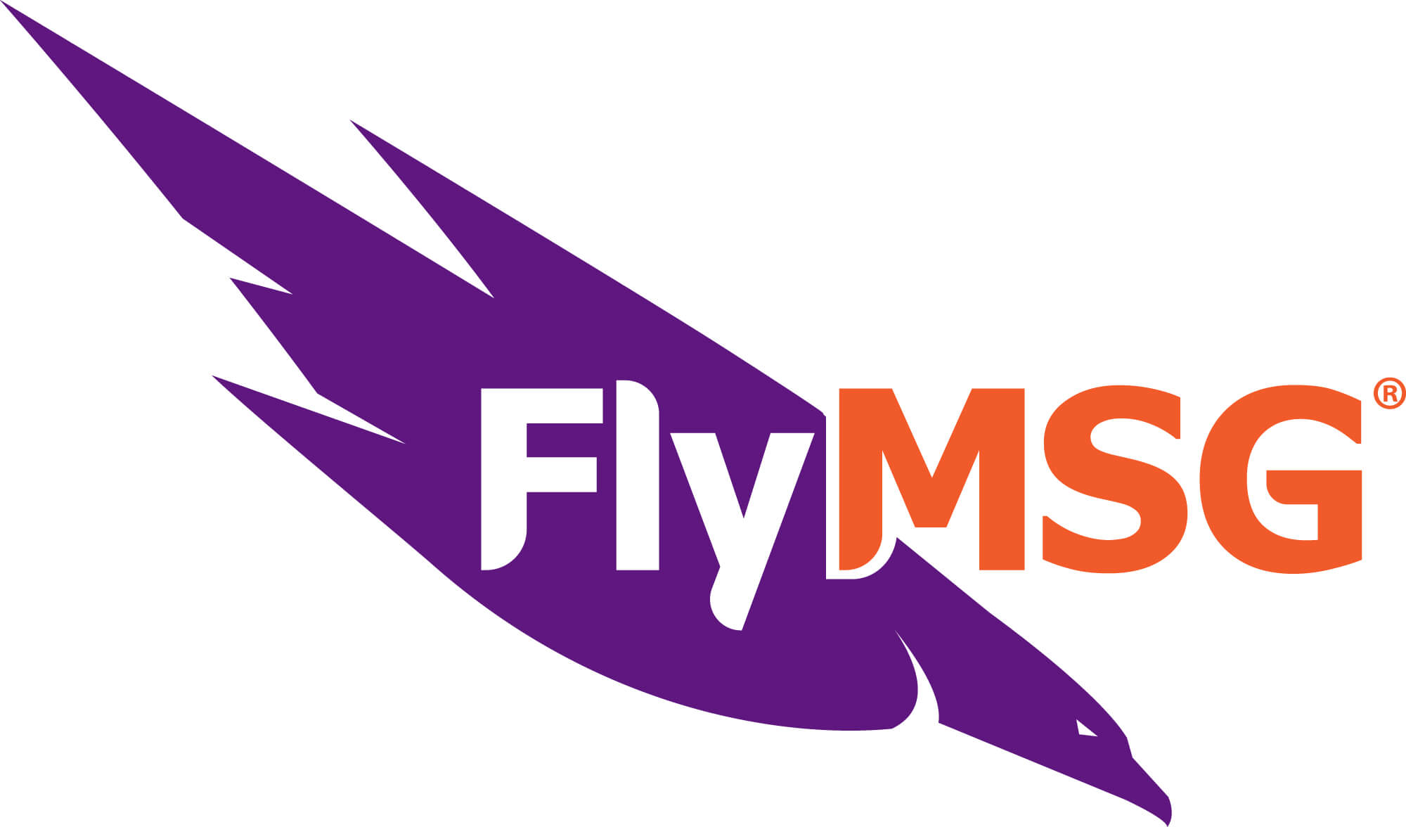 The #1 Free Auto Text Expander That Saves You 1 hr/day | FlyMSG